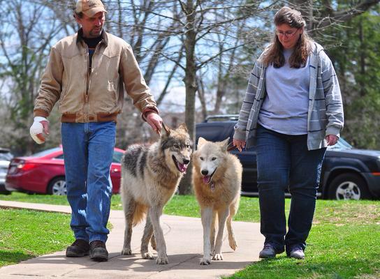 Recognition - Southern Ohio Wolf Sanctuary, Inc. - Wolfdog
